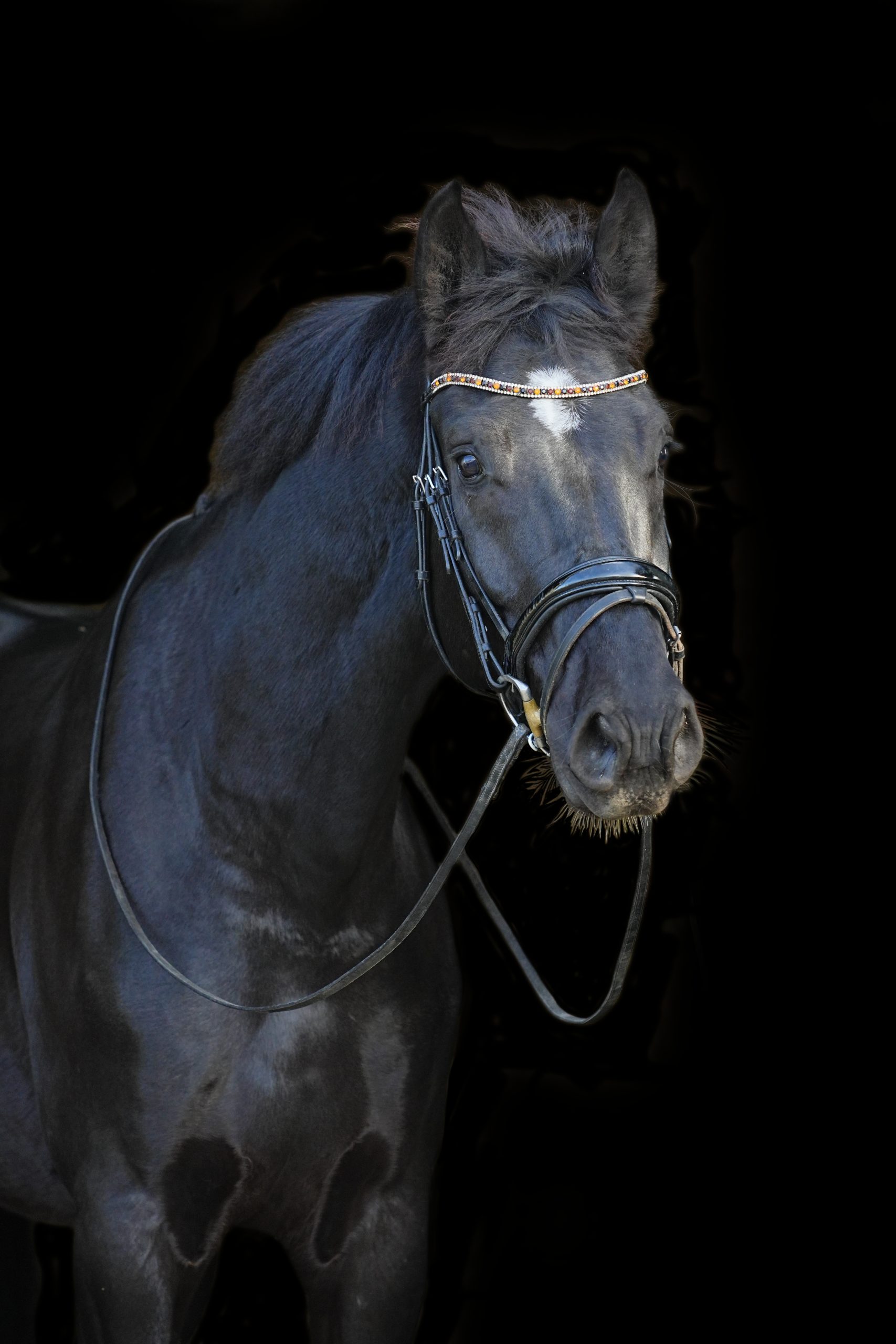 Odito de topper, talentvoller is er niet! - Equinova