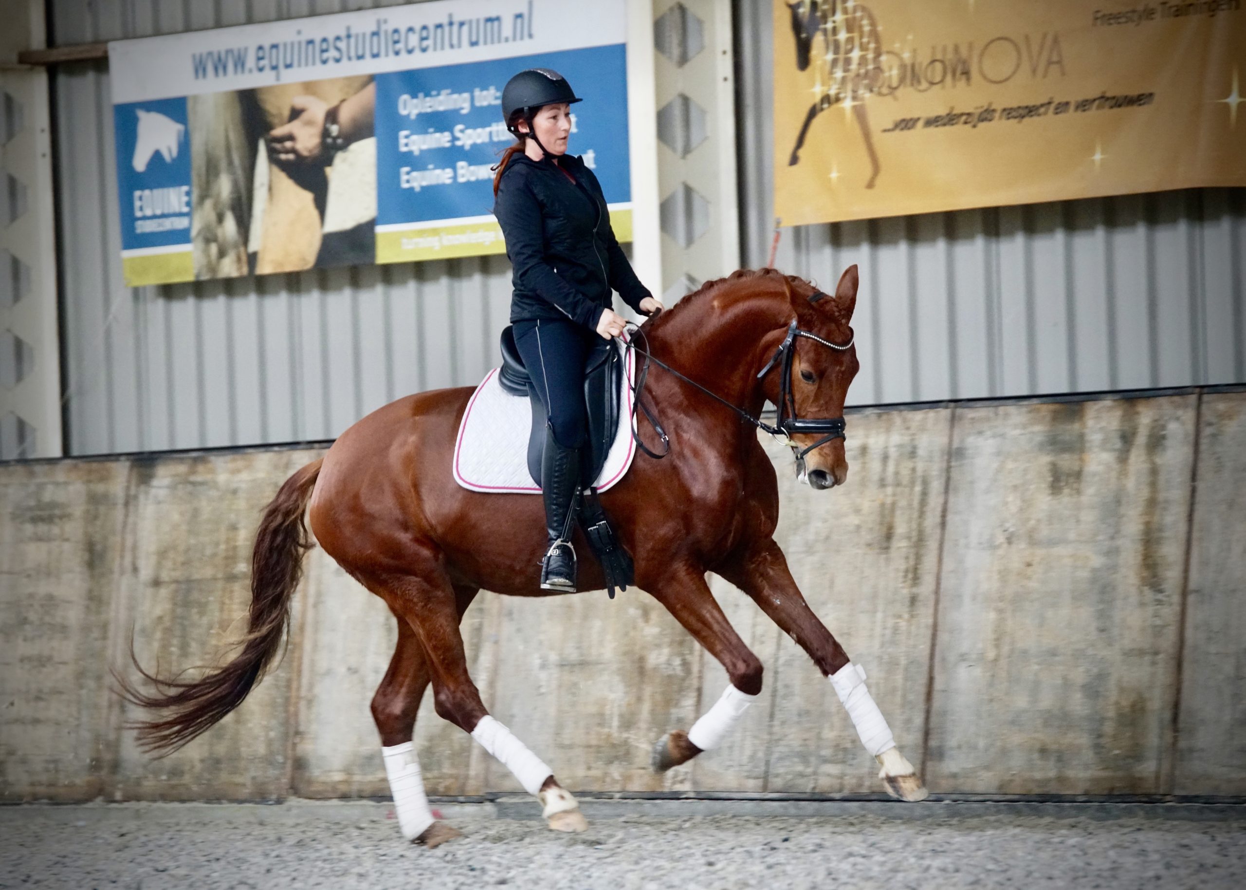 Jelle Roozen Fotografie, onze topfotograaf! - Equinova